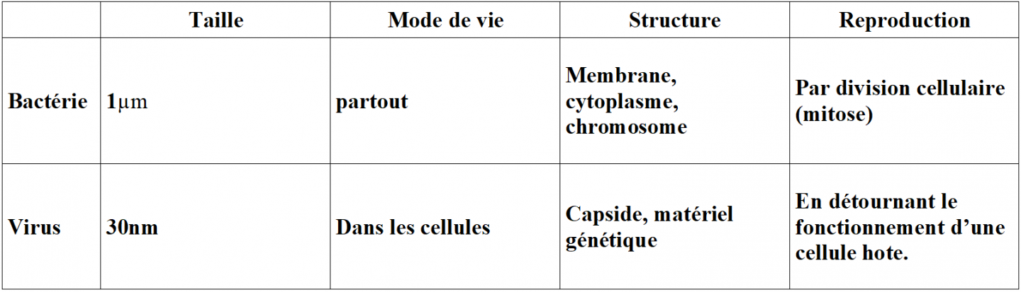 4e – micro-organismes (cours) – SVT-Beuve