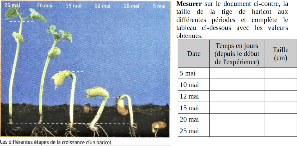 sixième : besoins nutritifs des êtres vivants – SVT-Beuve